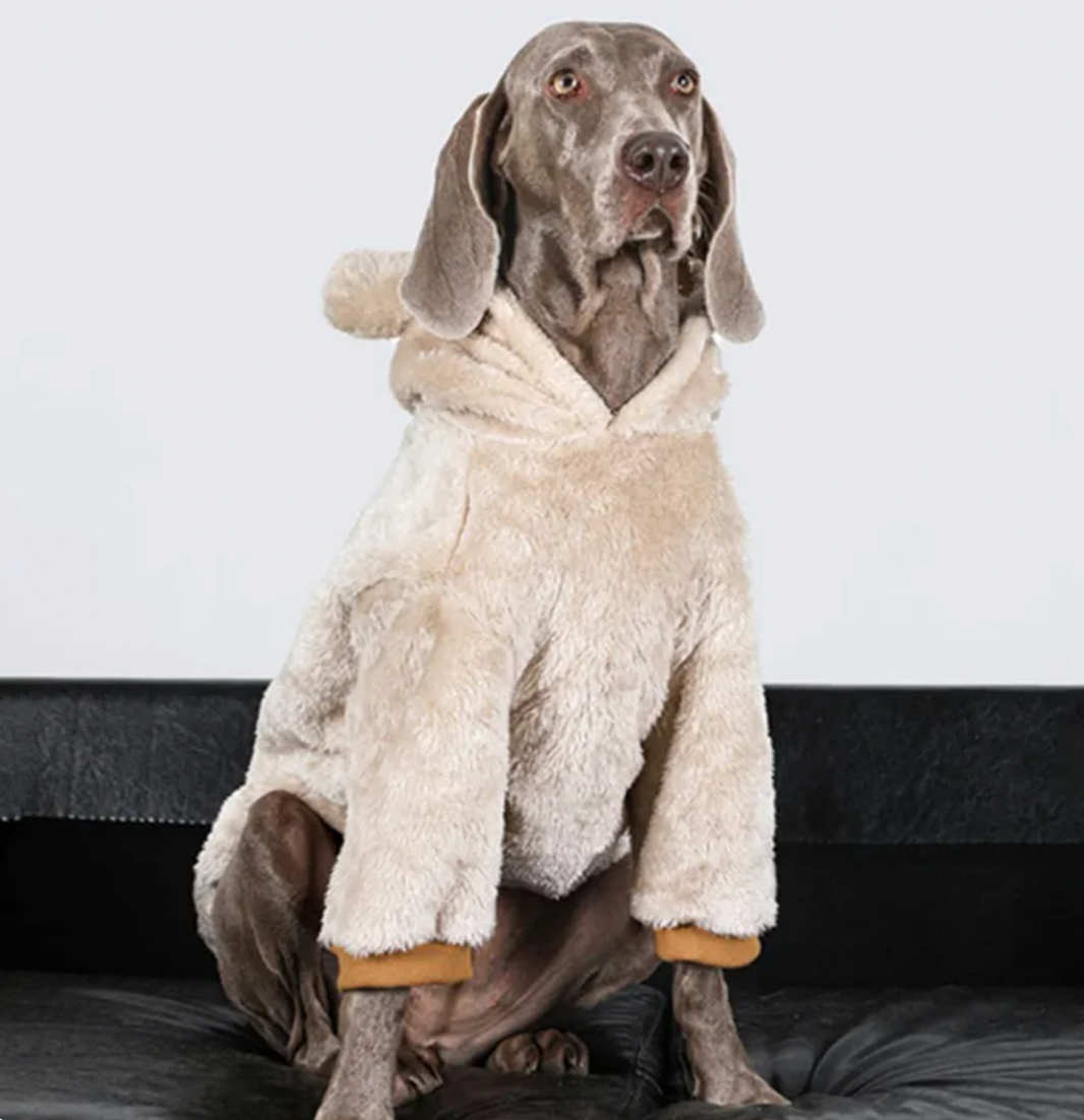 DOGWEAR – Chocodogger